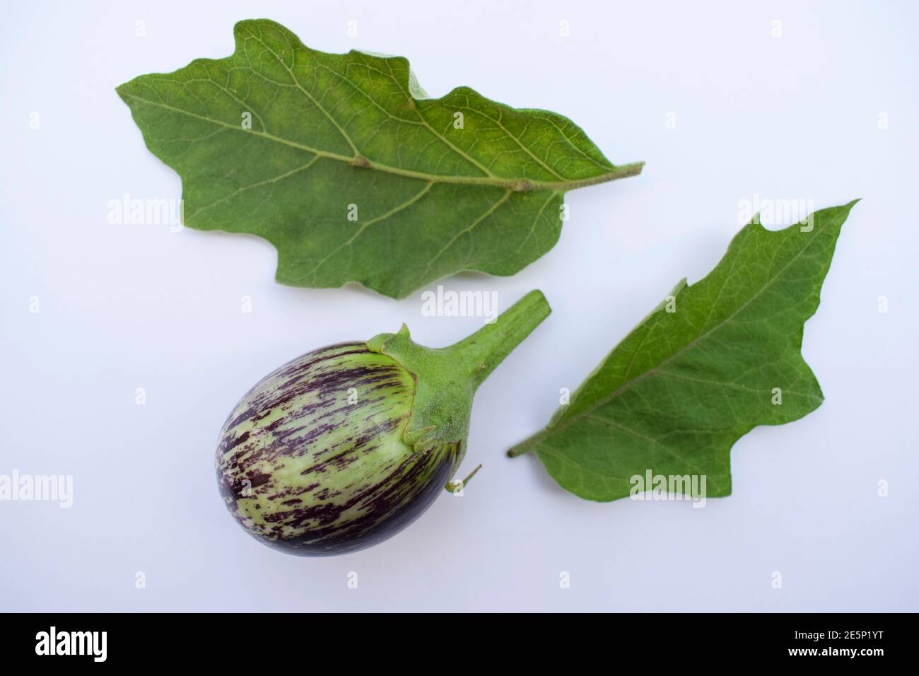 Spherical shade hi-res stock photography and images - Alamy