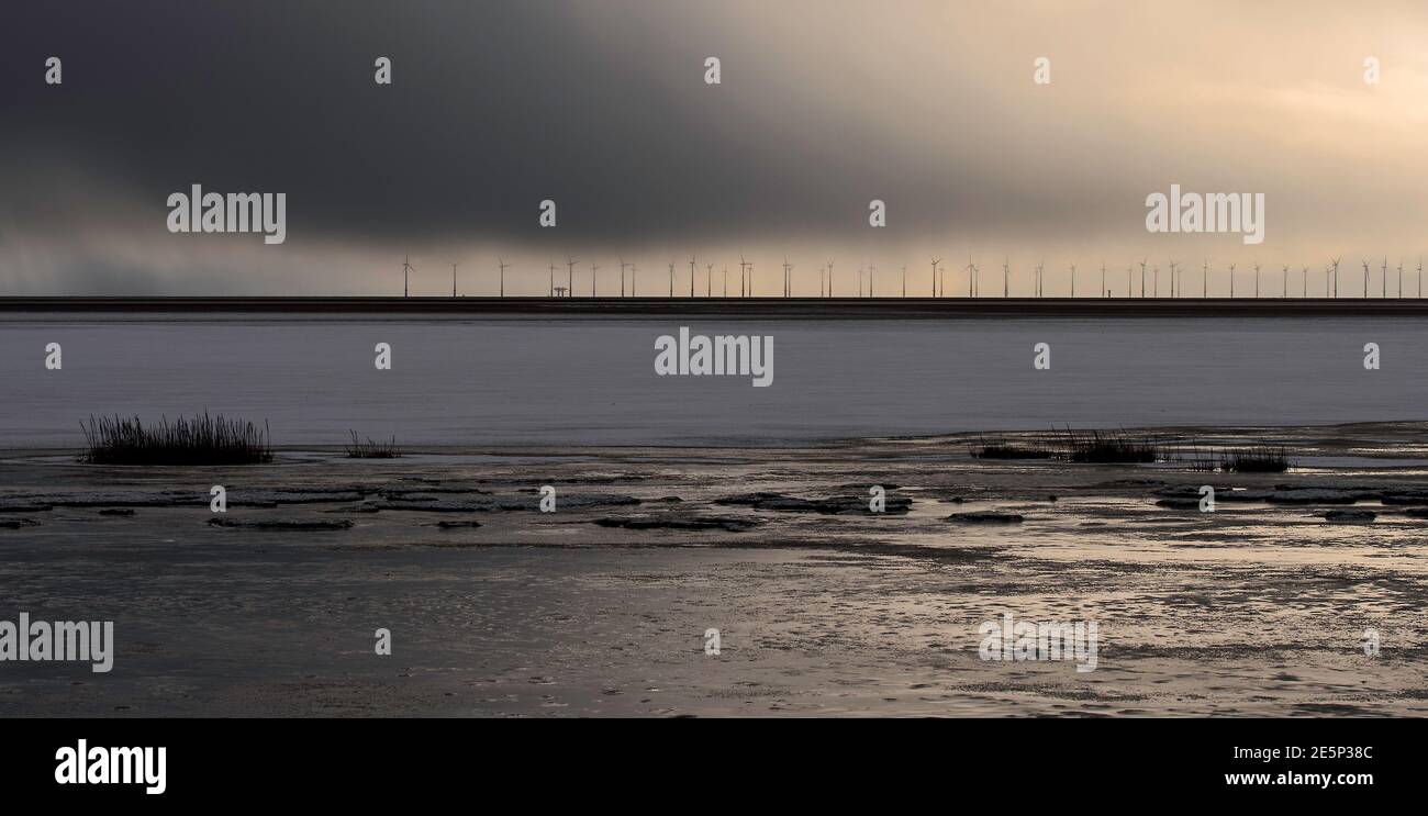 Wind turbines across the Solway estuary, low sunshine, taken from ...