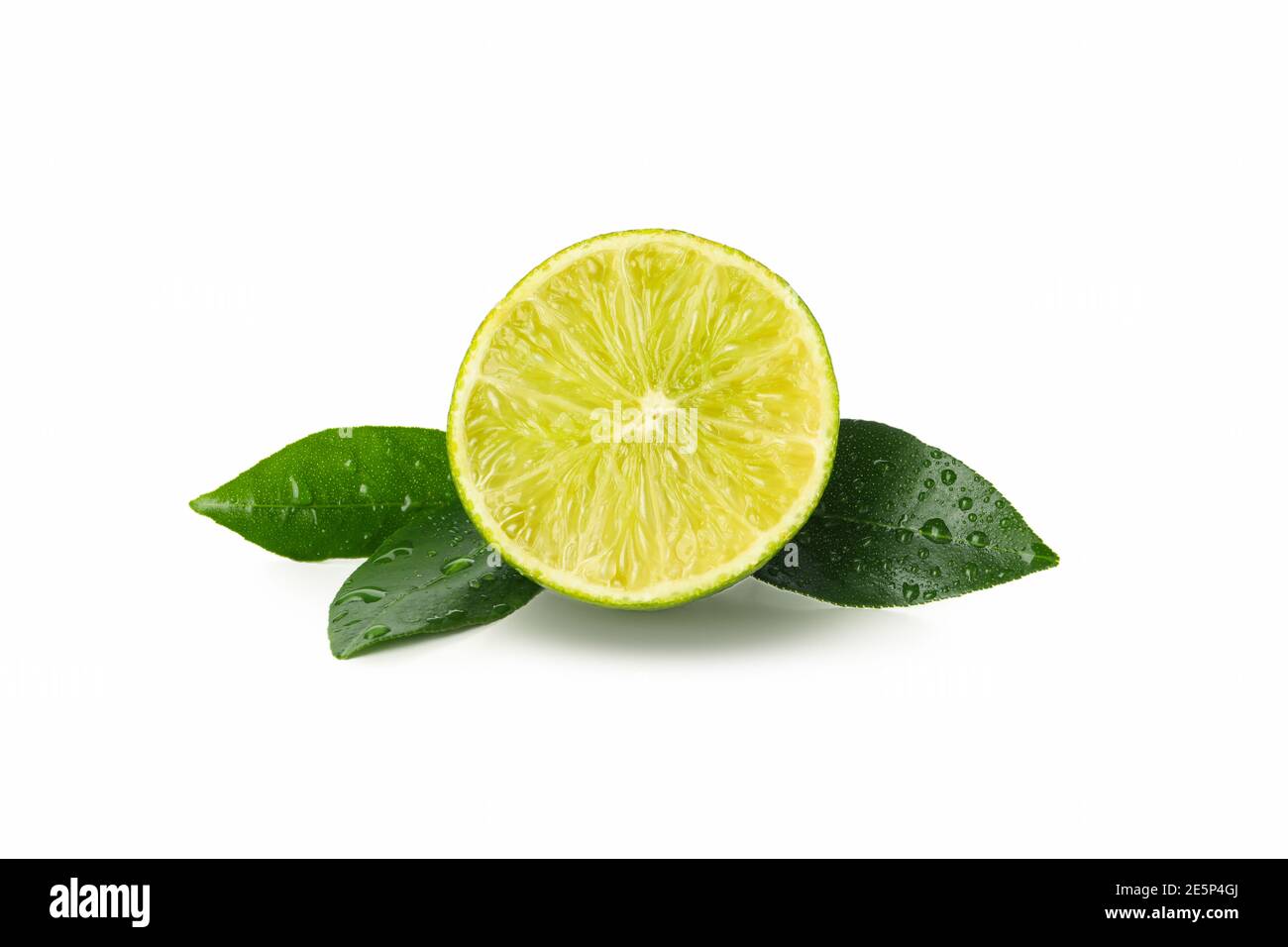Fresh ripe lime isolated on white background Stock Photo - Alamy