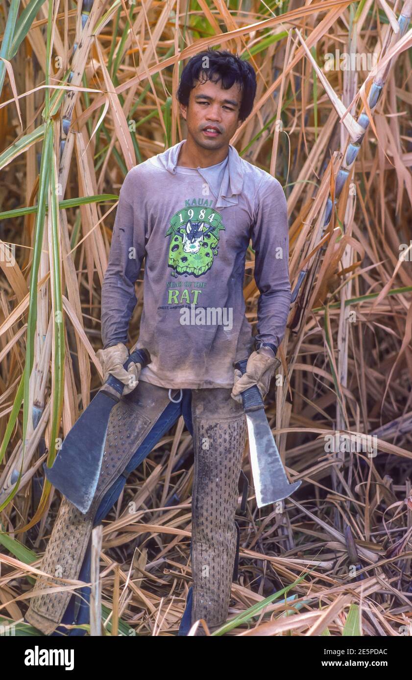 KAUAI, HAWAII, 1984 - Cane cutter with two machetes in sugar cane field ...