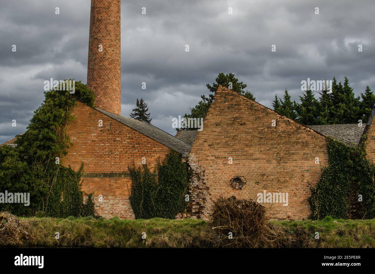 old overgrown factory of brick Stock Photo - Alamy