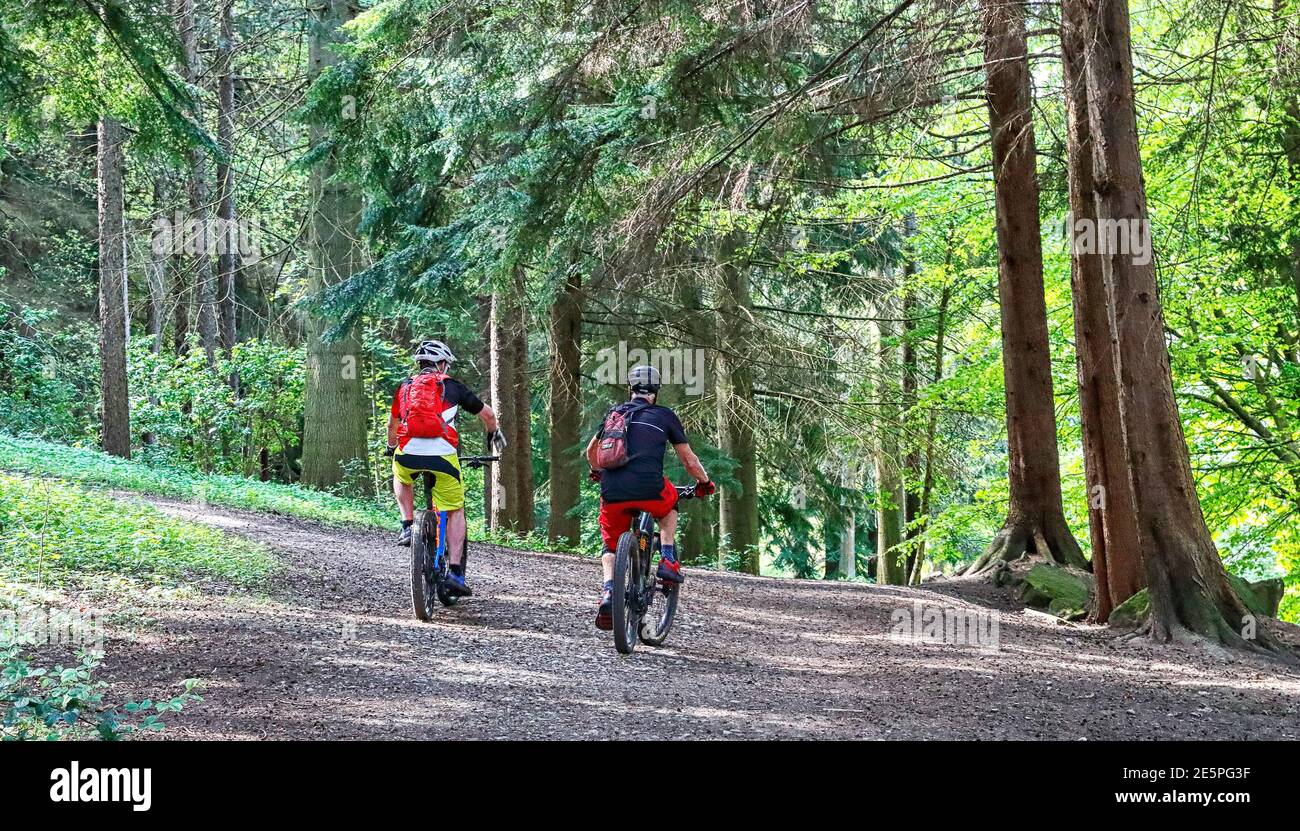 Two mountain bikers on a forest trail in Otley Chevin Forest Park Stock ...