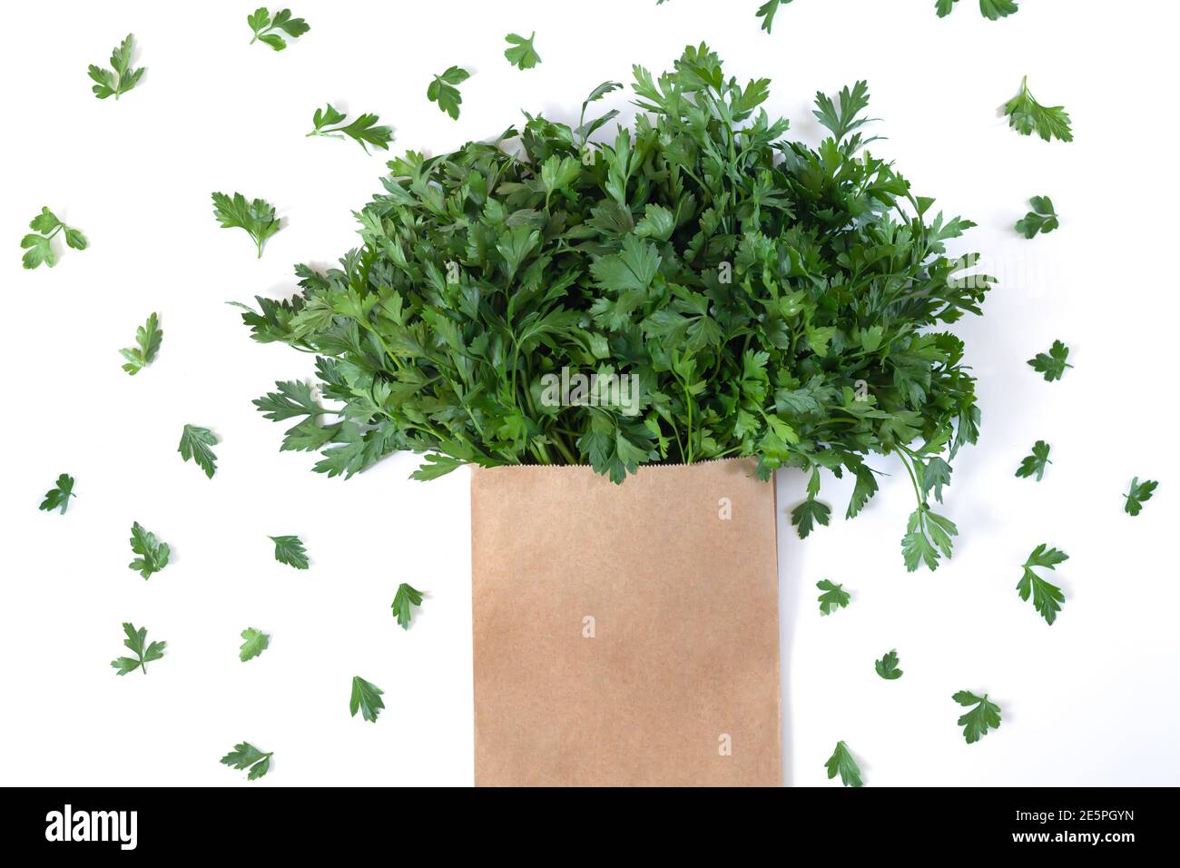 Fresh bunch of cilantro, coriander or parsley in paper bag isolated on ...