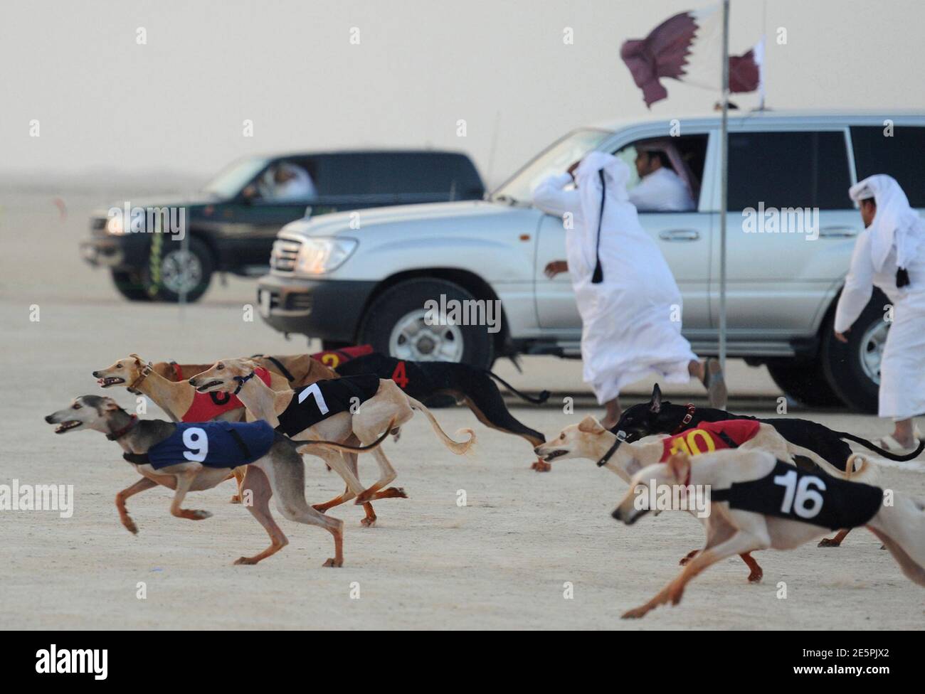 Arabian tribes hi-res stock photography and images - Alamy