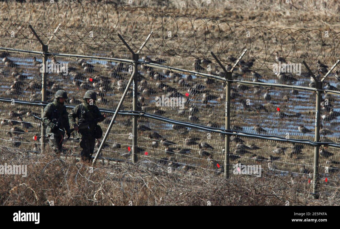 Korea dmz animal hi-res stock photography and images - Alamy