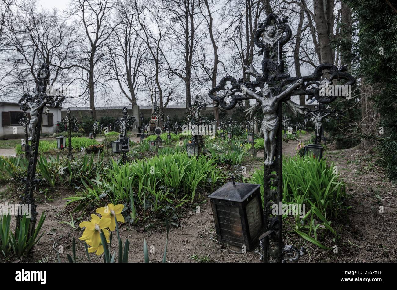 cemetery with many old iron crosses Stock Photo - Alamy