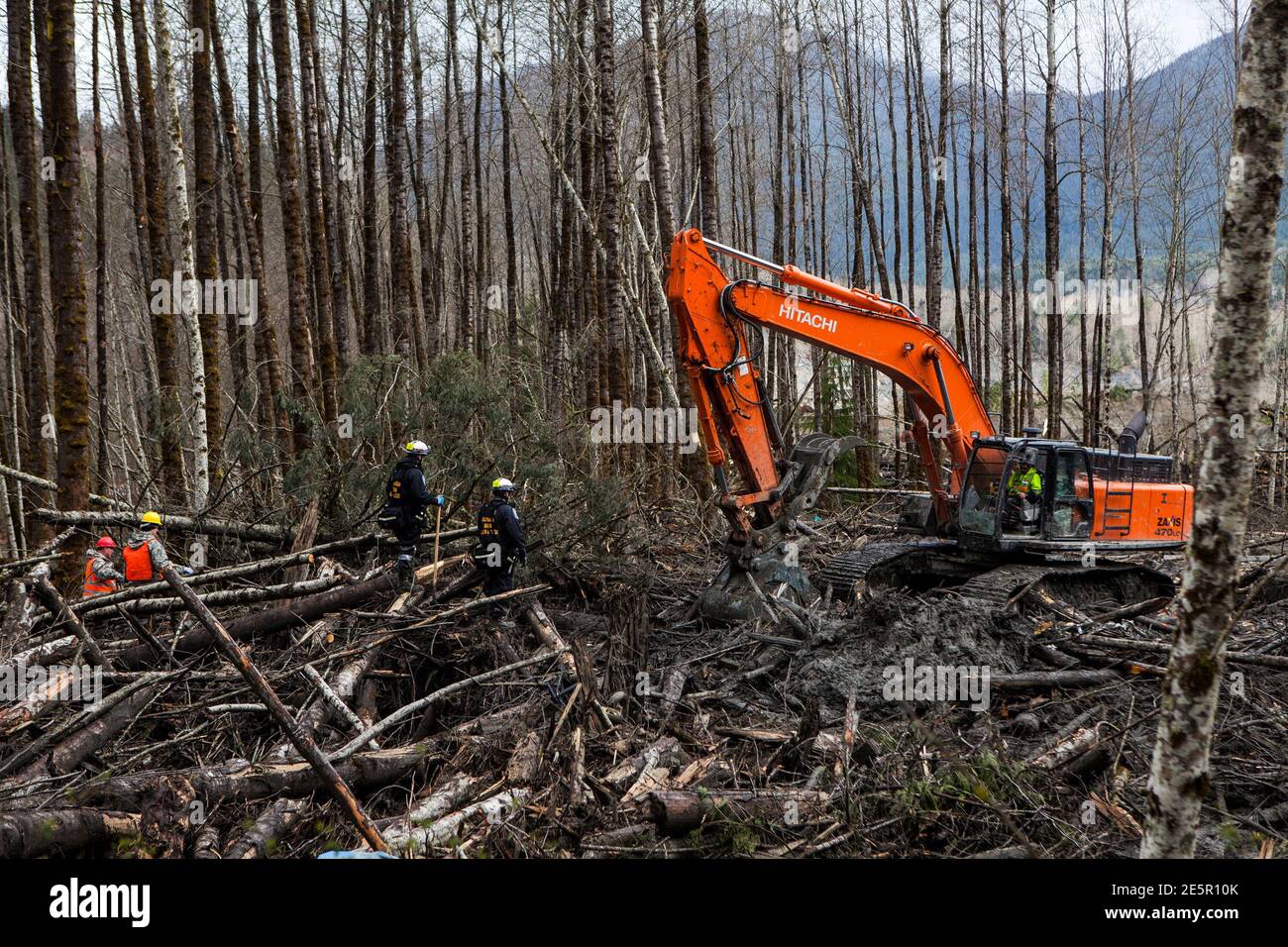 Oso Mudslide High Resolution Stock Photography and Images - Alamy