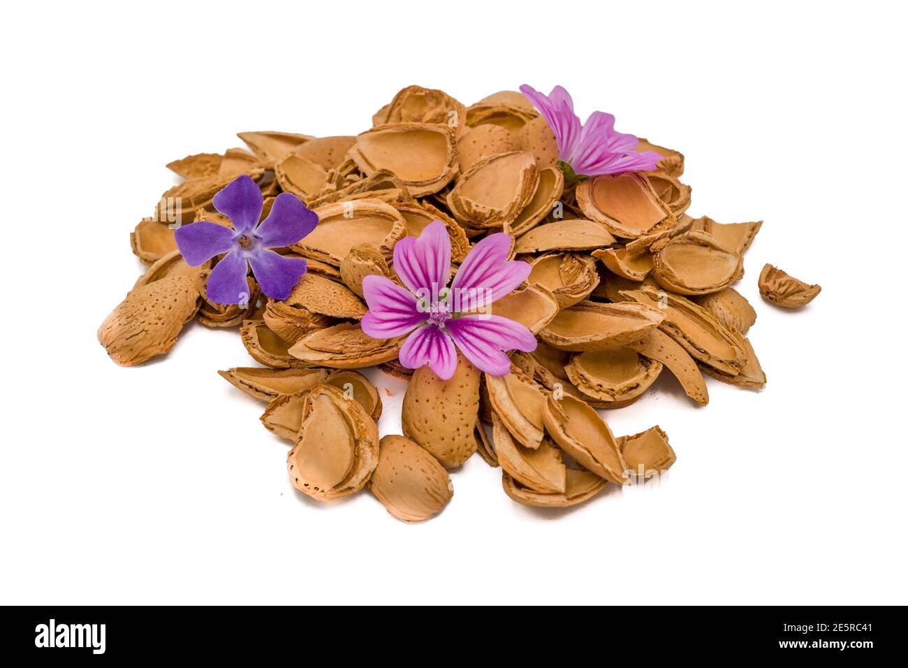 Closeup shot of almond shells with flowers isolated on white background ...