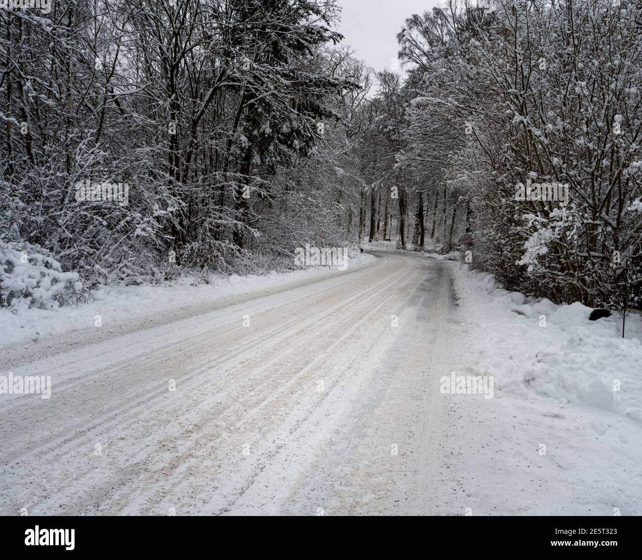 An icy and snowy winter road going through a forest. Picture from ...