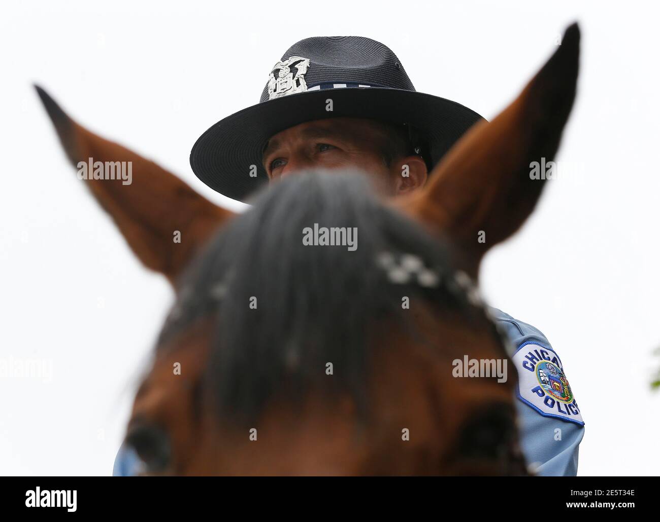 Chicago police horse hi-res stock photography and images - Alamy
