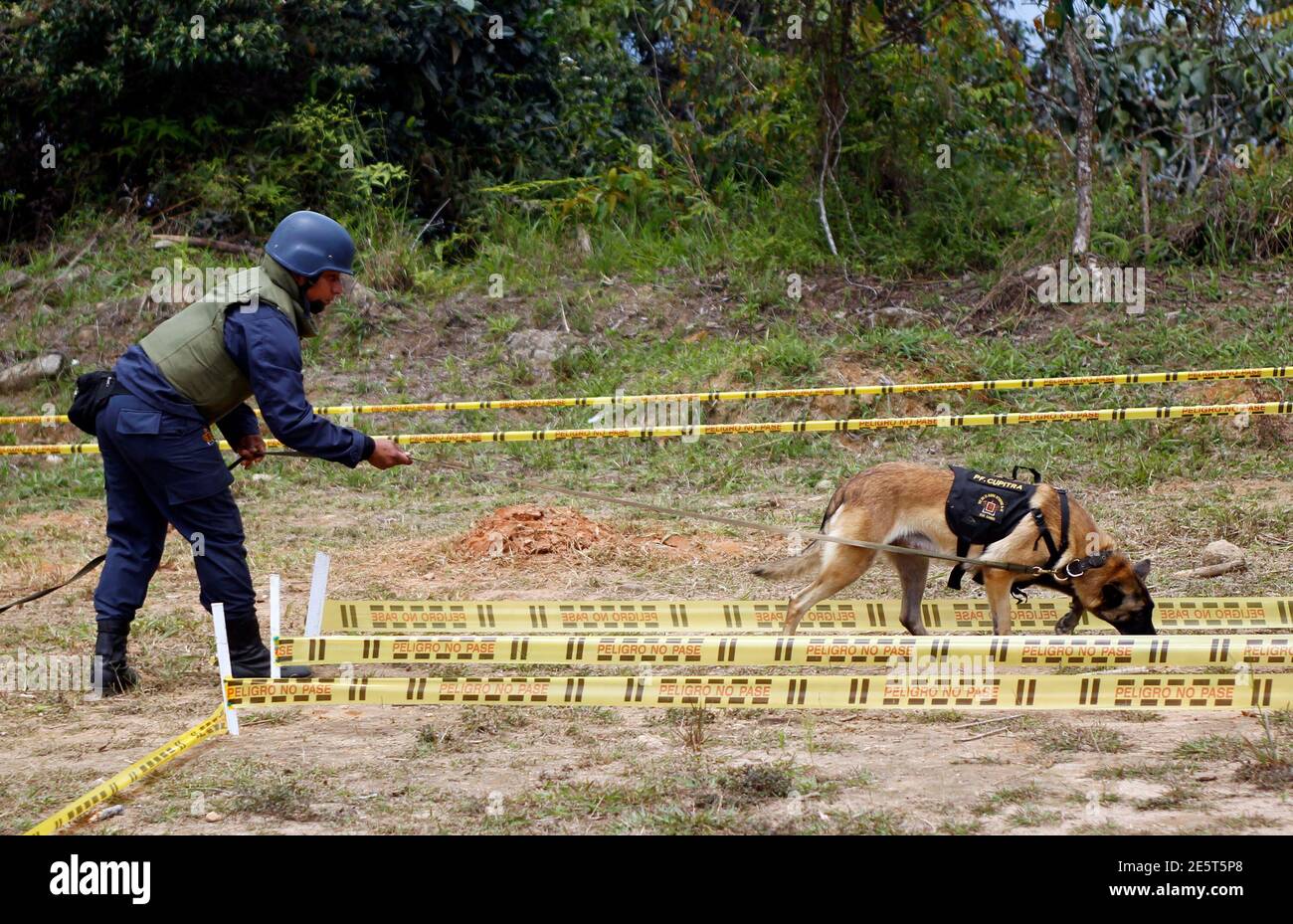 Mine detection hi-res stock photography and images - Alamy