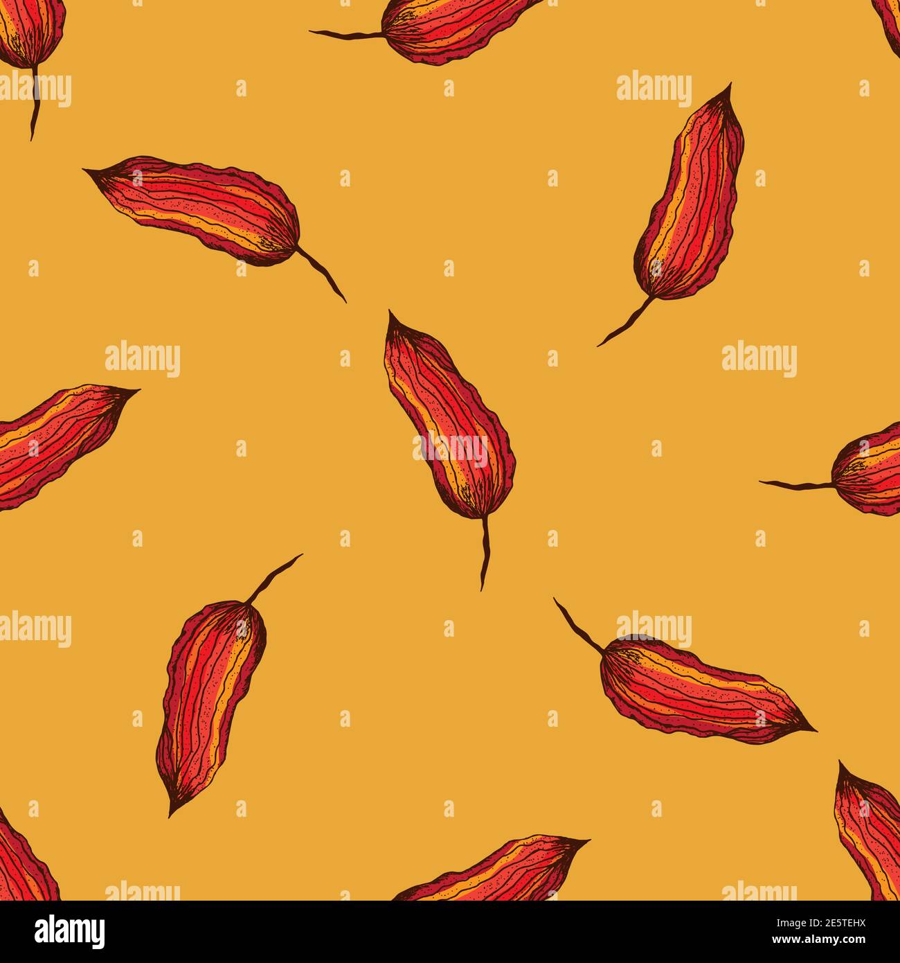 Repeat pattern of chillies hi-res stock photography and images - Alamy