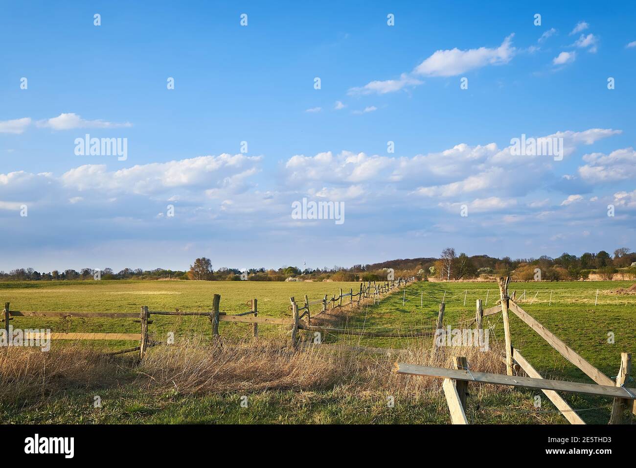 Springtime pasture with wooden fence. Biological farms around Northern ...
