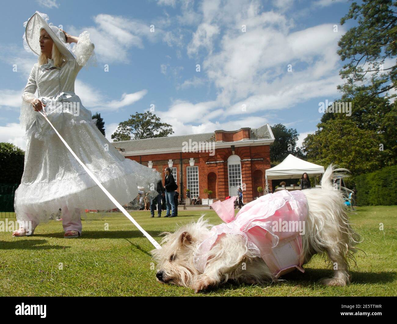 Victorian dog show hi-res stock photography and images - Alamy