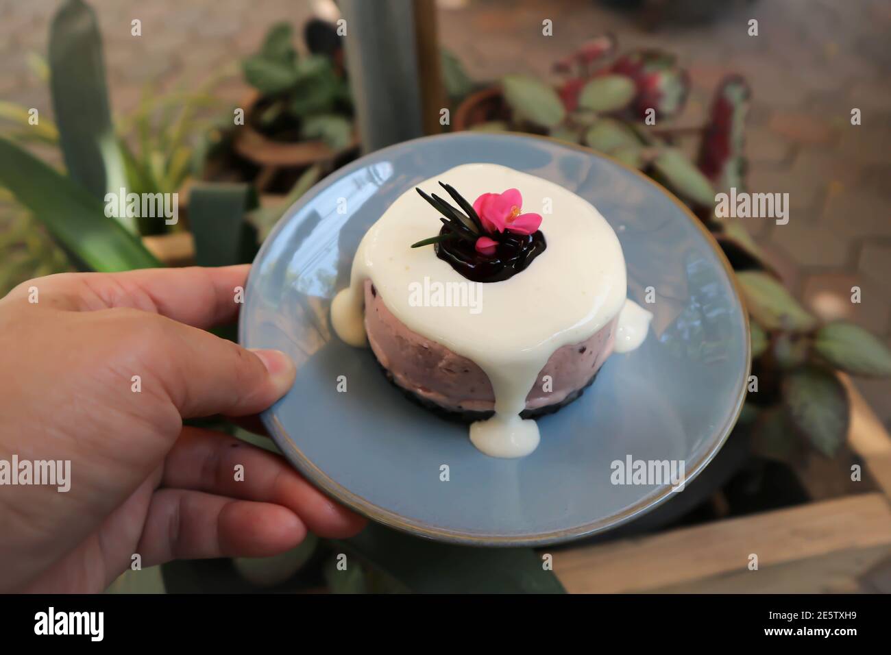 blueberry cake, blueberry mousse cake with cream topping for serve ...