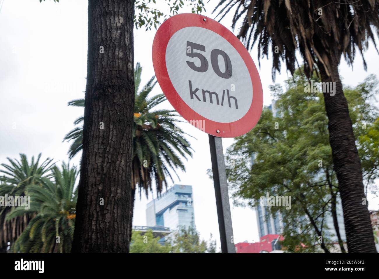 Round street sign with buildings and palm trees as background Stock ...