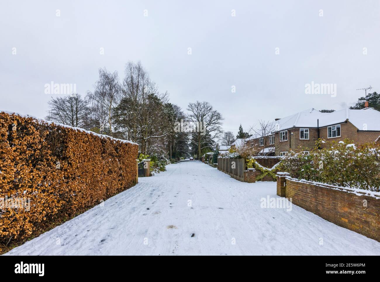 Slushy Snow Road High Resolution Stock Photography and Images - Alamy