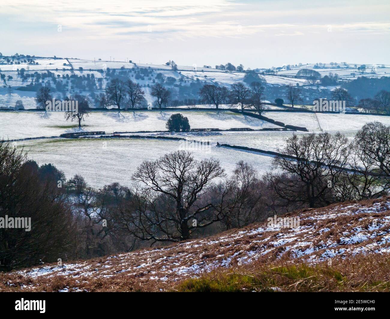 Winter view with trees at Stanton Moor near Bakewell in the Peak ...