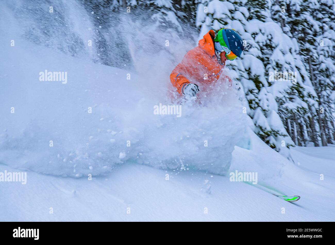 Powder skiing hi-res stock photography and images - Alamy