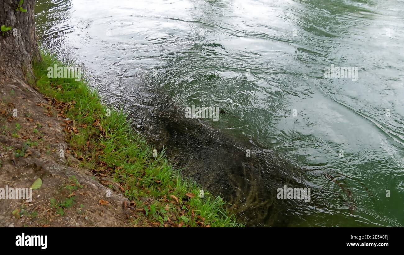 Beautiful view flowing river water hi-res stock photography and images ...