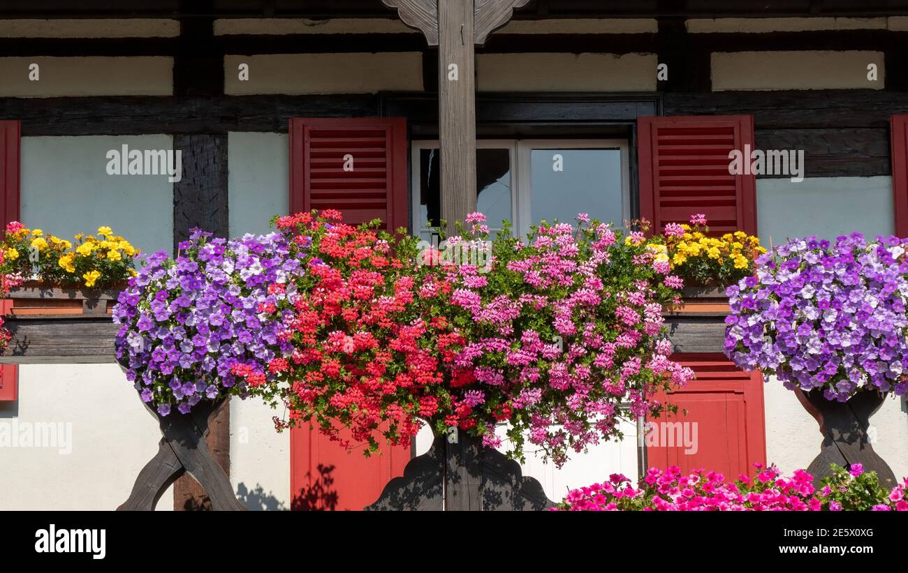 Balcony of a farmhouse with geraniums Stock Photo - Alamy