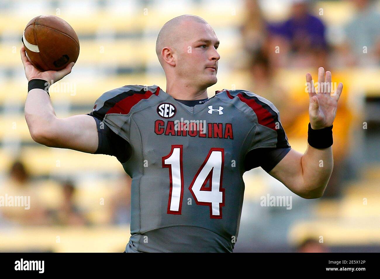Louisiana state tigers hi-res stock photography and images - Alamy