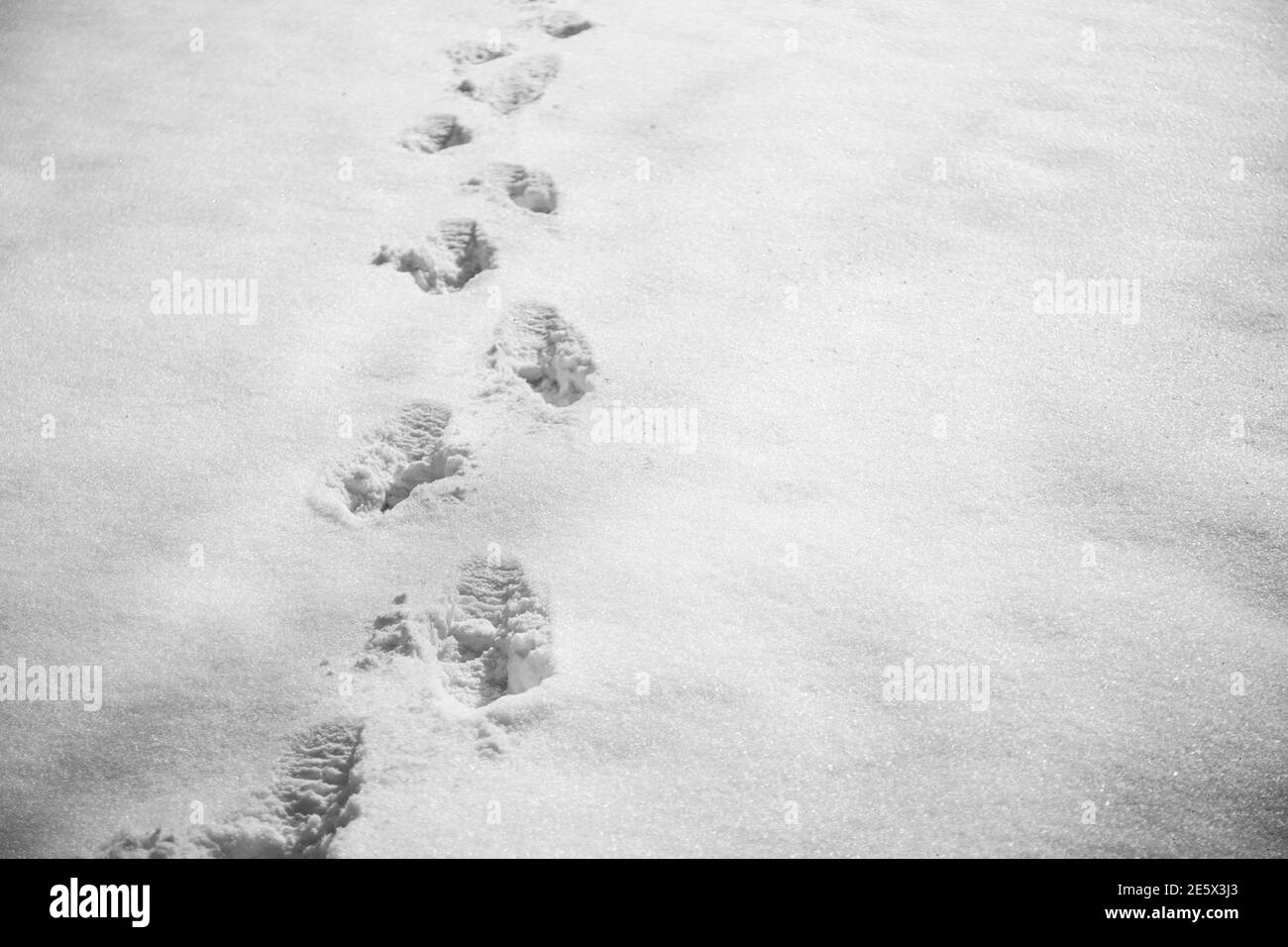 Cloudy snow day Black and White Stock Photos & Images - Alamy