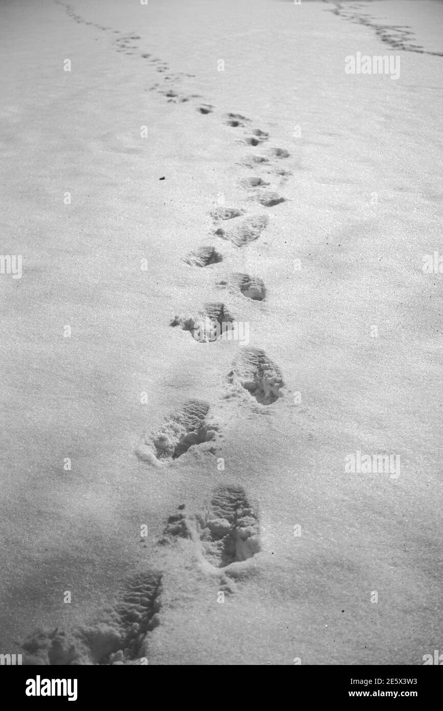 Cloudy snow day Black and White Stock Photos & Images - Alamy