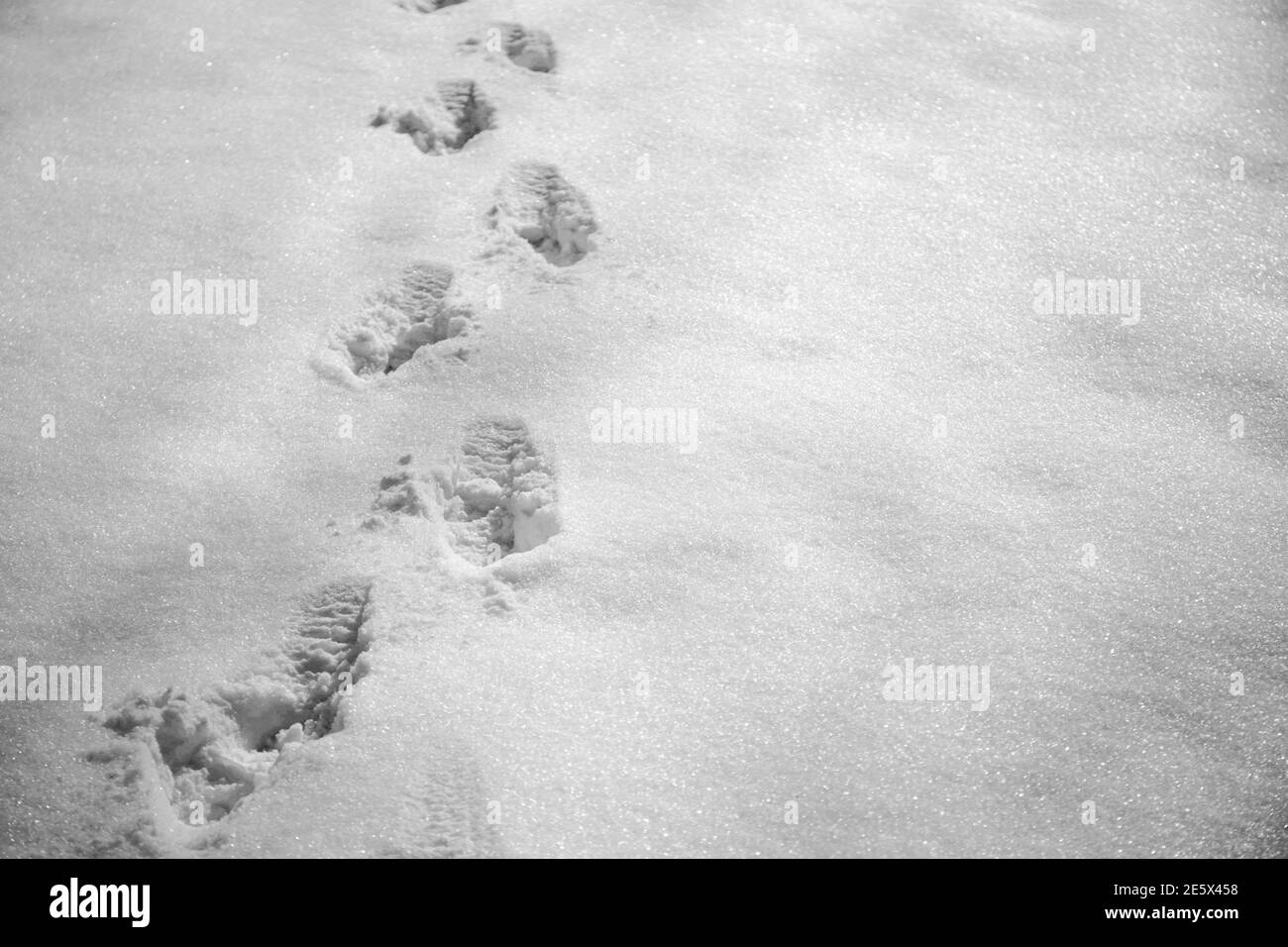 Car trail in the snow Black and White Stock Photos & Images - Alamy