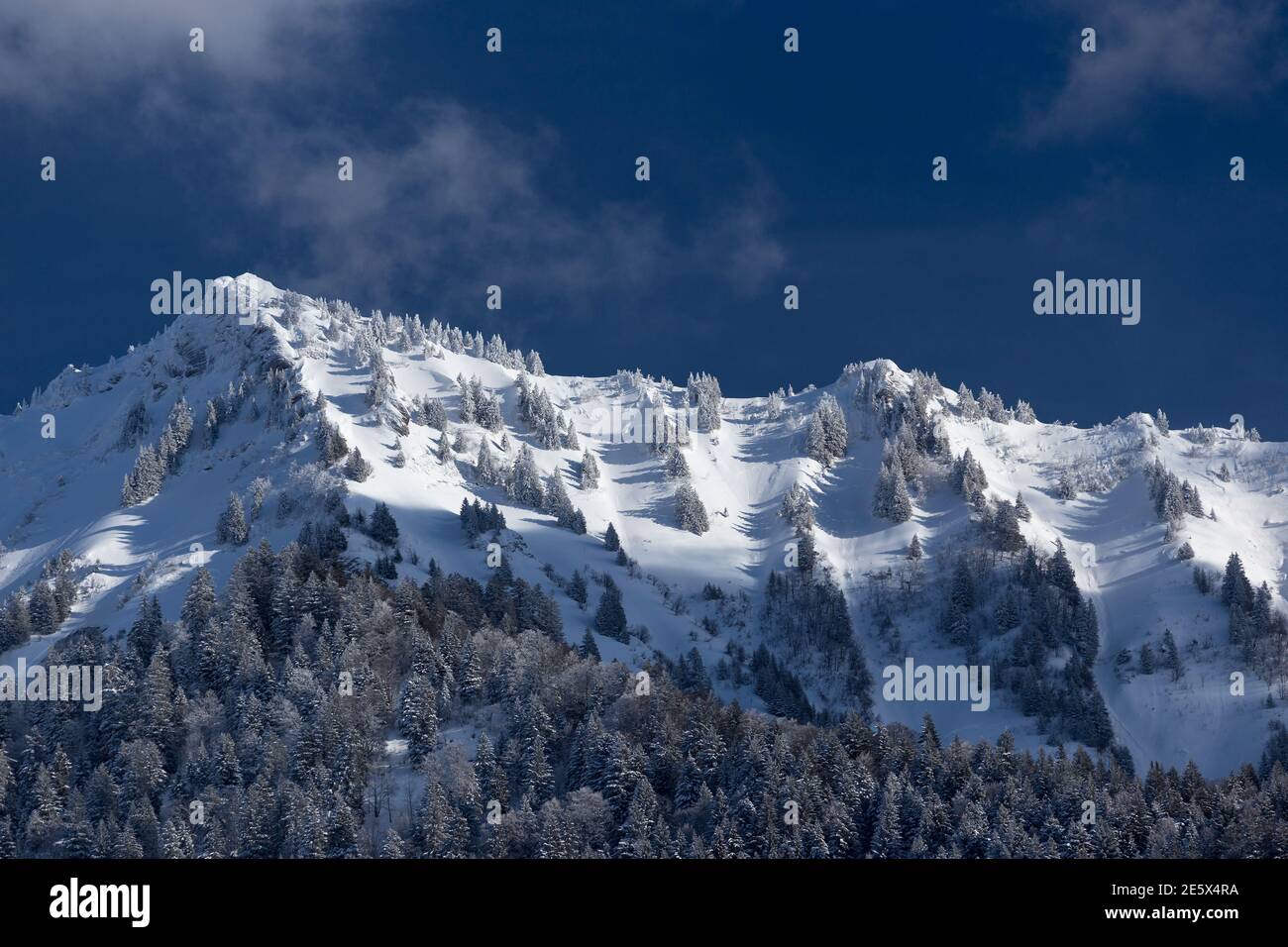 Mountain ridge with trees hi-res stock photography and images - Alamy