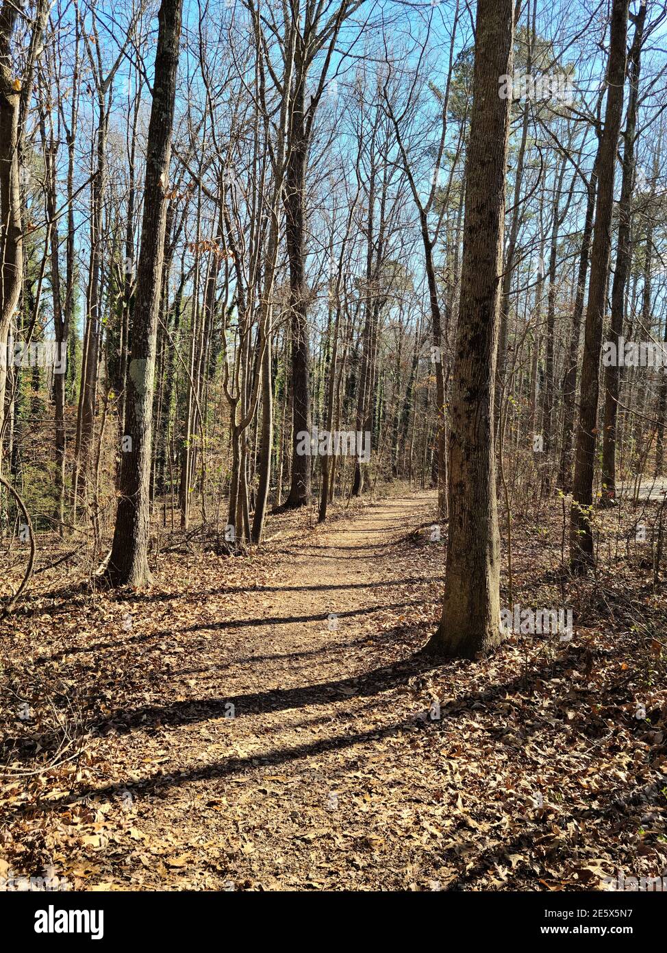 Landscaped pathway hi-res stock photography and images - Alamy