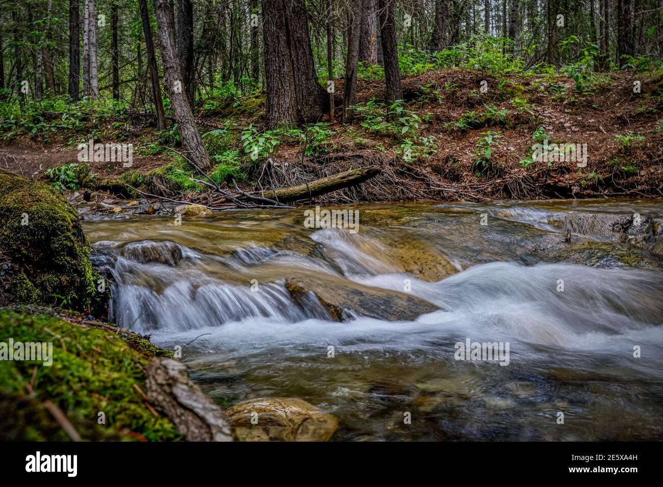 Troll Falls Canada Stock Photo - Alamy