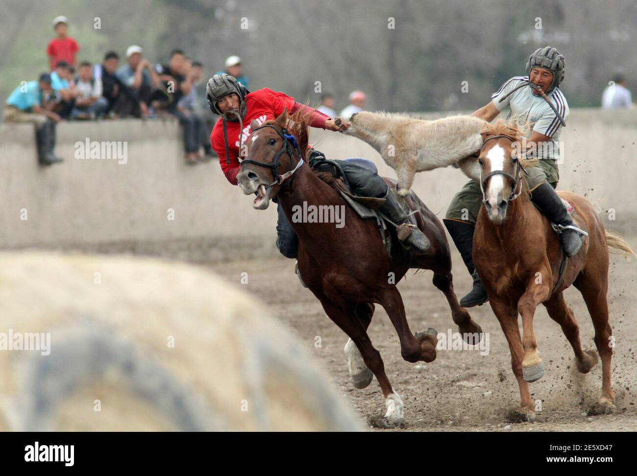 Headless goat hi-res stock photography and images - Alamy