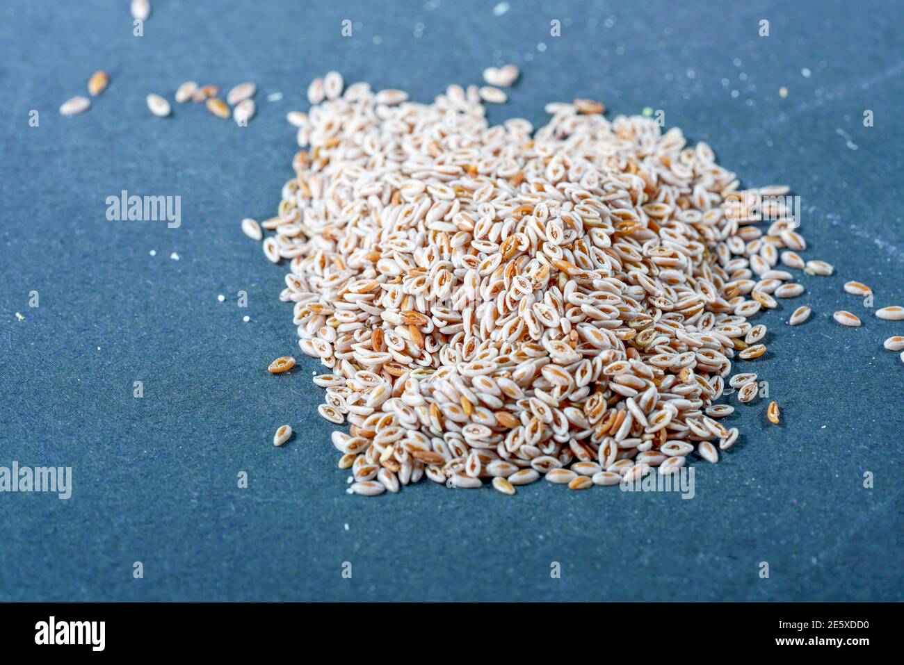 Indian flea seeds photographed in the studio against a black background ...