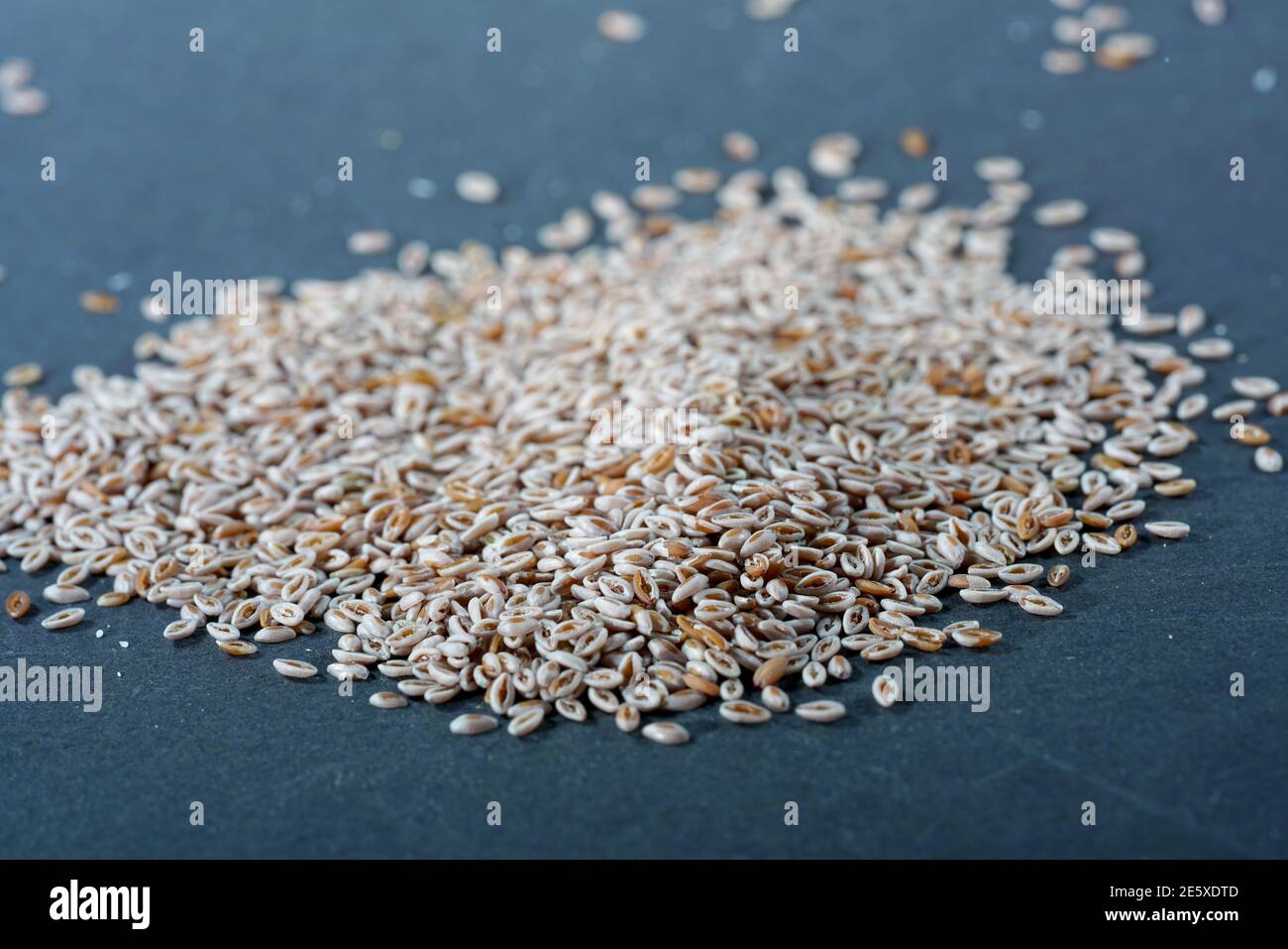Indian flea seeds photographed in the studio against a black background ...
