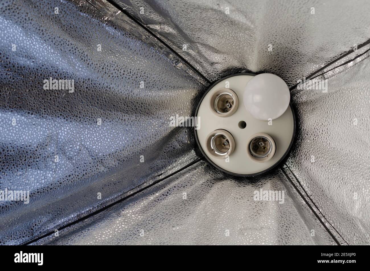 Lamp holder for a softbox with one bulb. Studio lighting assembly ...