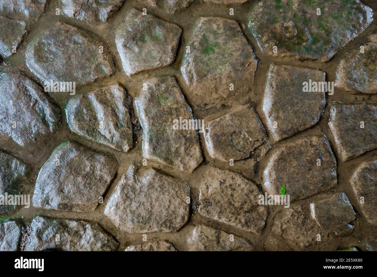 Cobblestones laid in unstructured pattern partially covered with moss ...