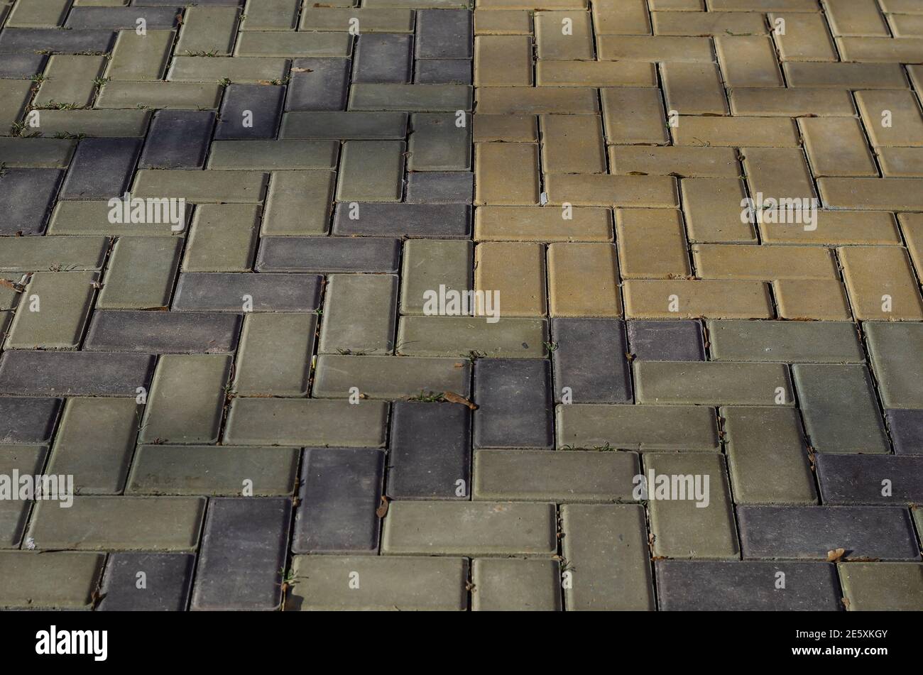 Colorful cobblestone pavement. Tri-color stone paving with fallen ...