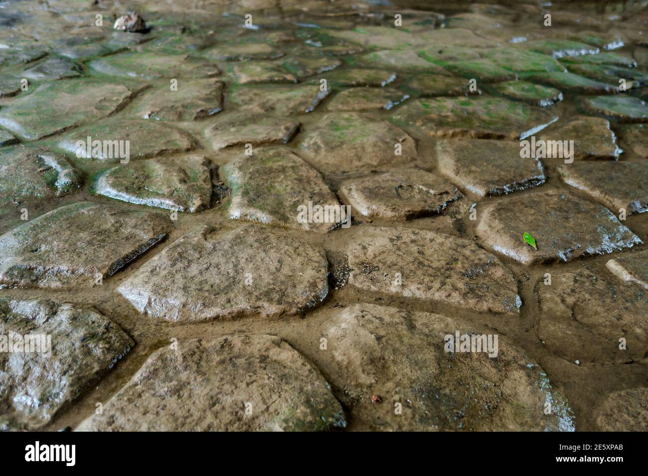 Cobblestones laid in unstructured pattern partially covered with moss ...