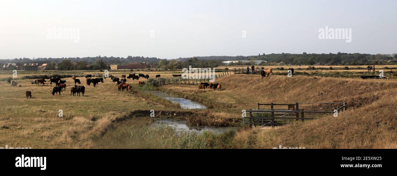 Faversham kent scene hi-res stock photography and images - Alamy