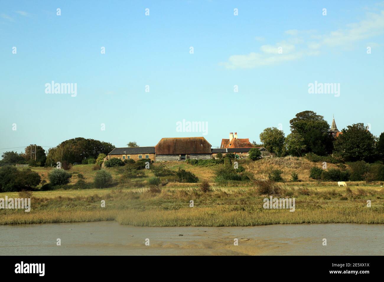 View across Oare Creek at low tide to Pheasant Farm, Oare from Ham ...