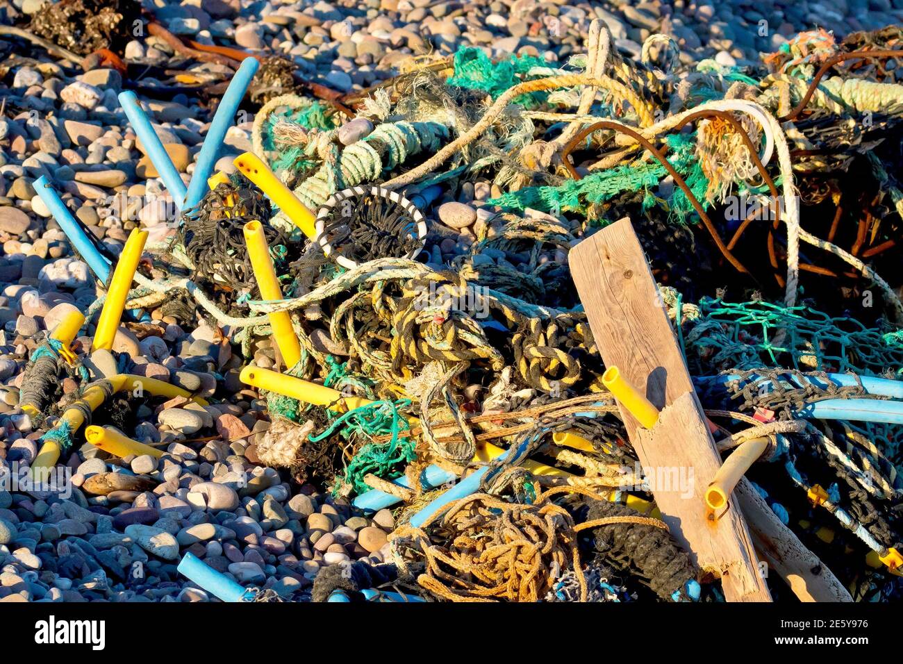 Flotsam beach hi-res stock photography and images - Alamy