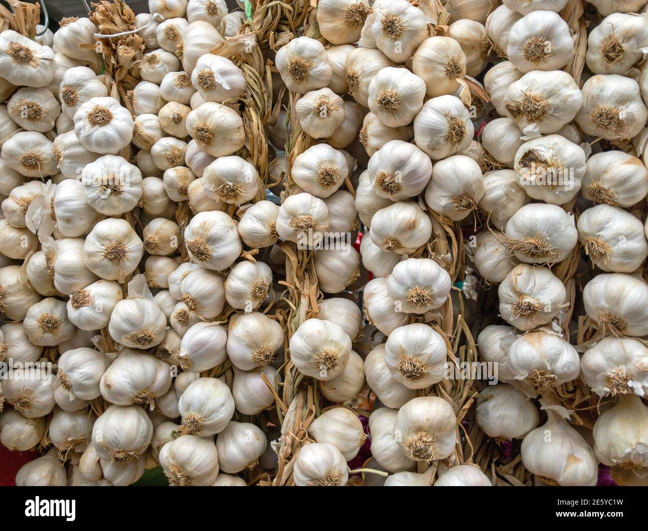 Strings of garlic bulbs hi-res stock photography and images - Alamy