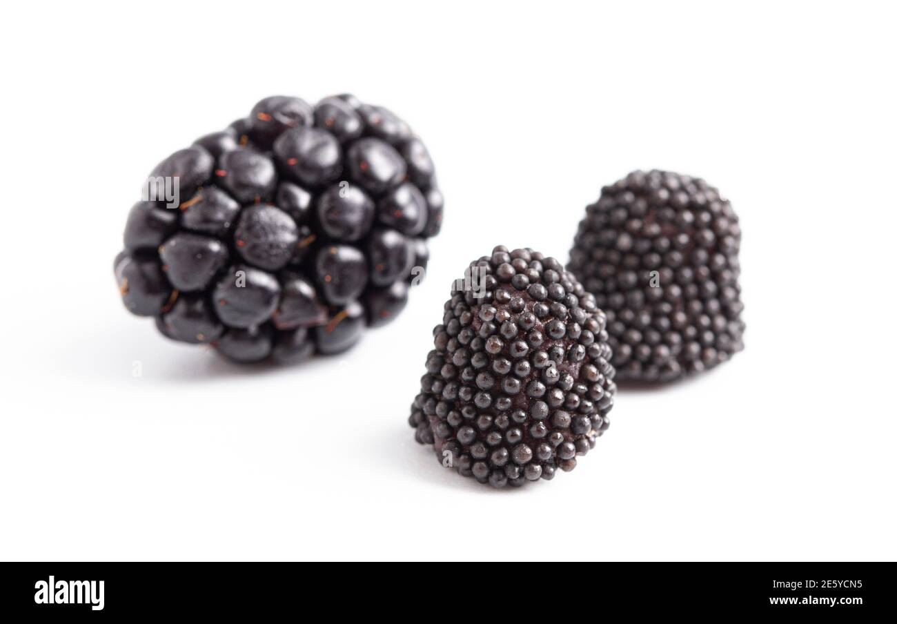 Blackberry Gummy Candies Isolated on a White Background Stock Photo - Alamy