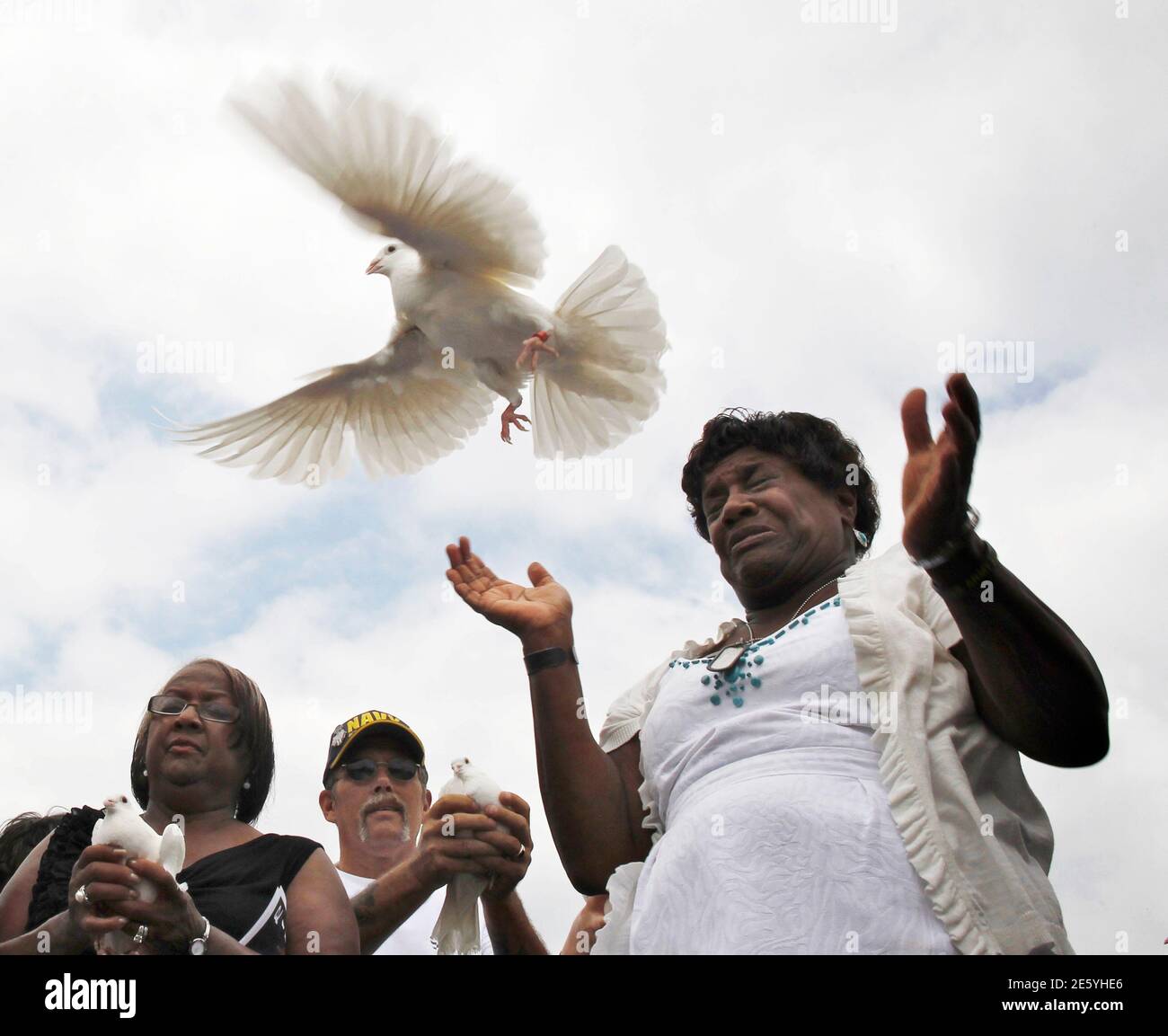 Soldier dove hi-res stock photography and images - Alamy