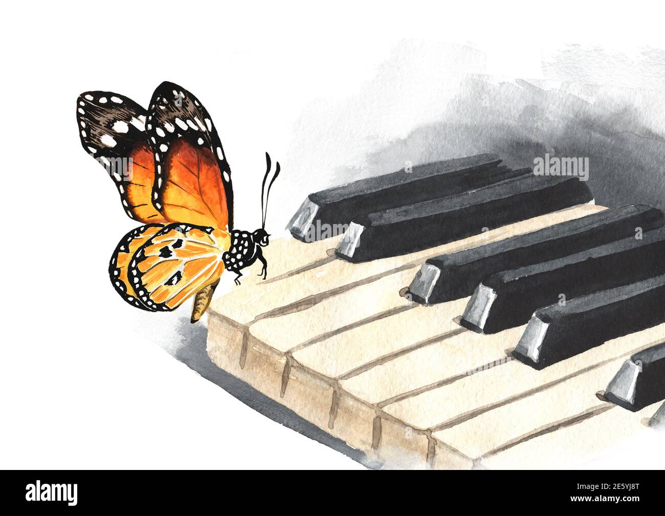 Piano keys and butterfly. Hand drawn watercolor illustration isolated ...