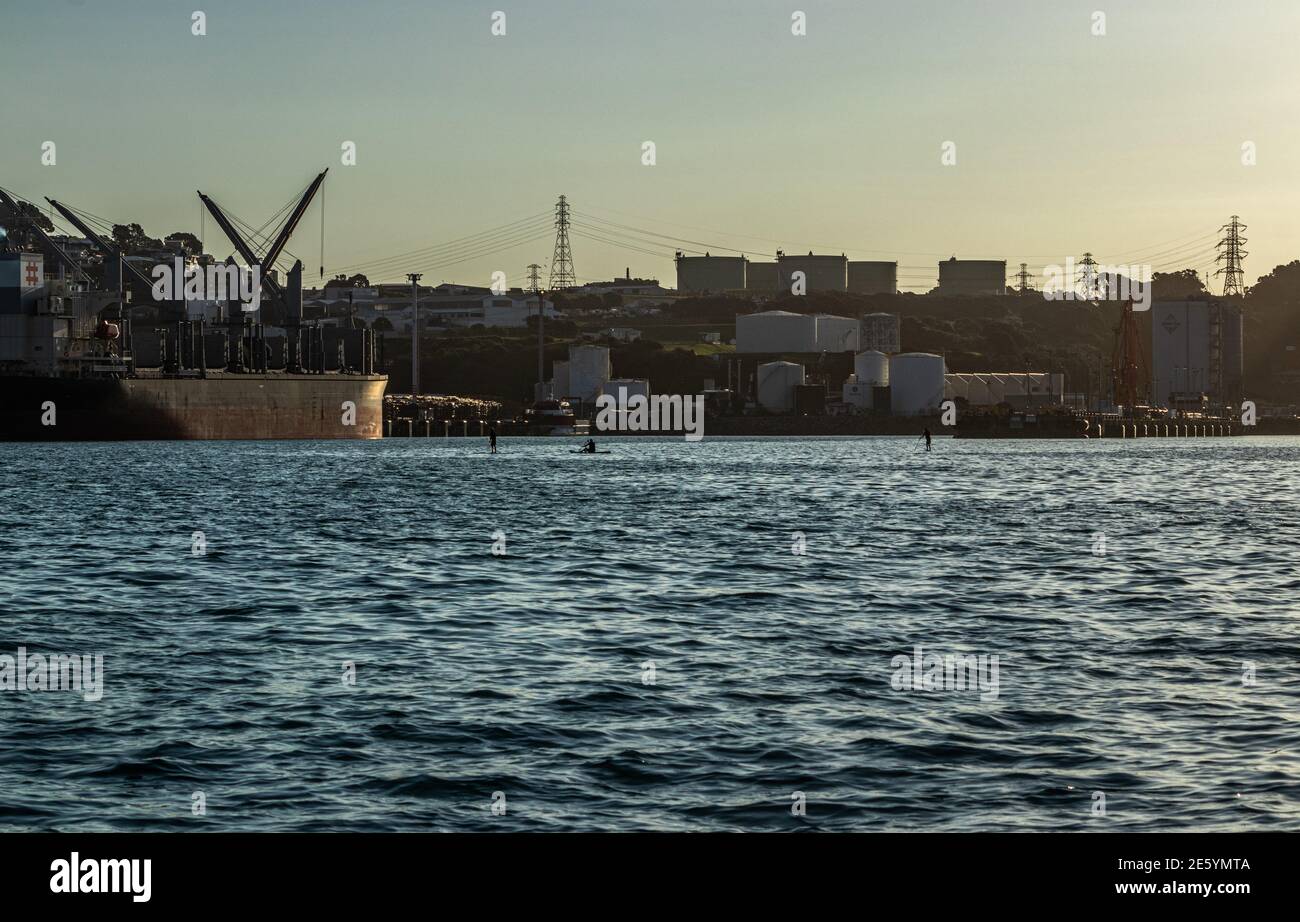 Activity in New Plymouth harbour Stock Photo - Alamy