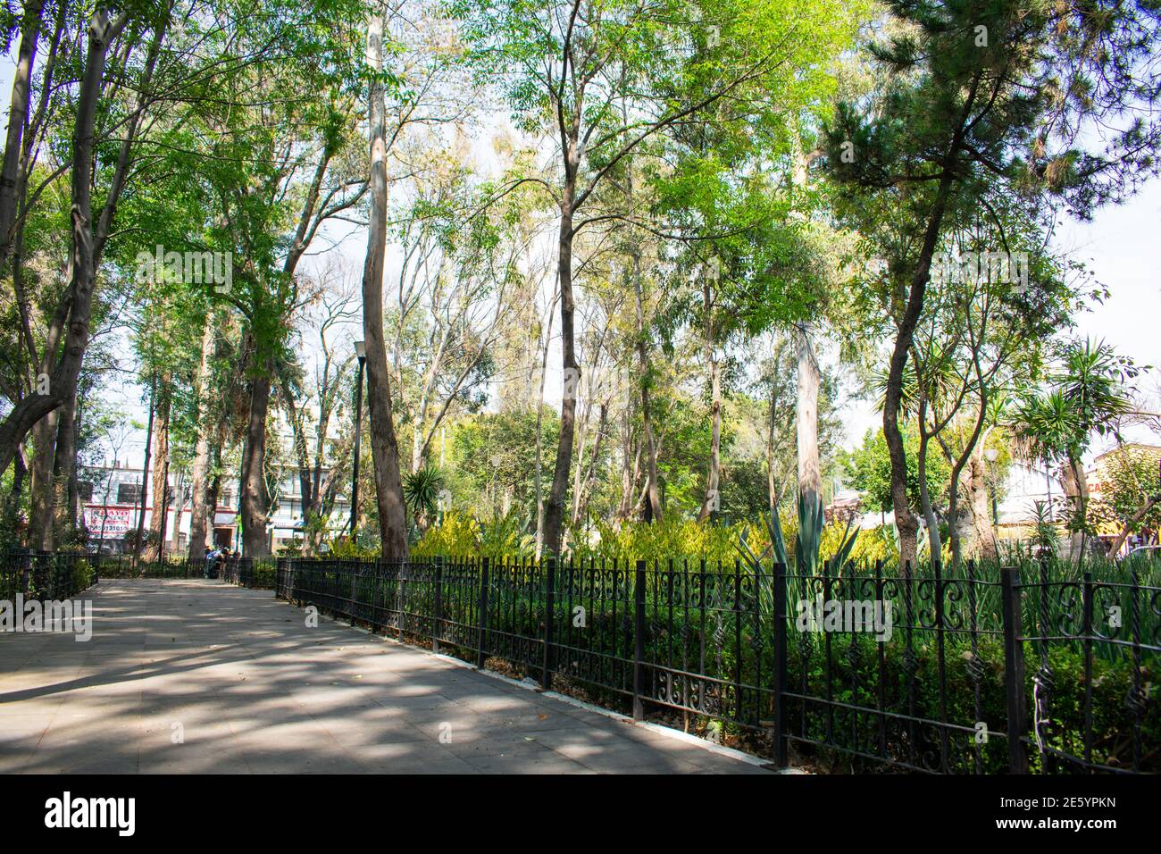 Garden environment building mexico hi-res stock photography and images ...