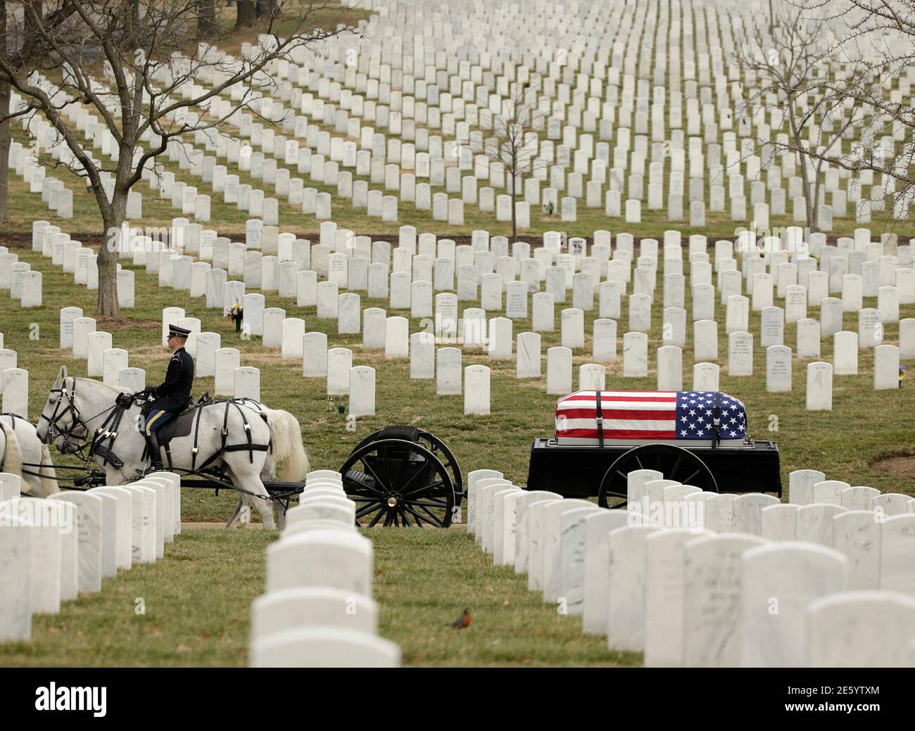 Arlington cemetery horse drawn caisson hi-res stock photography and ...