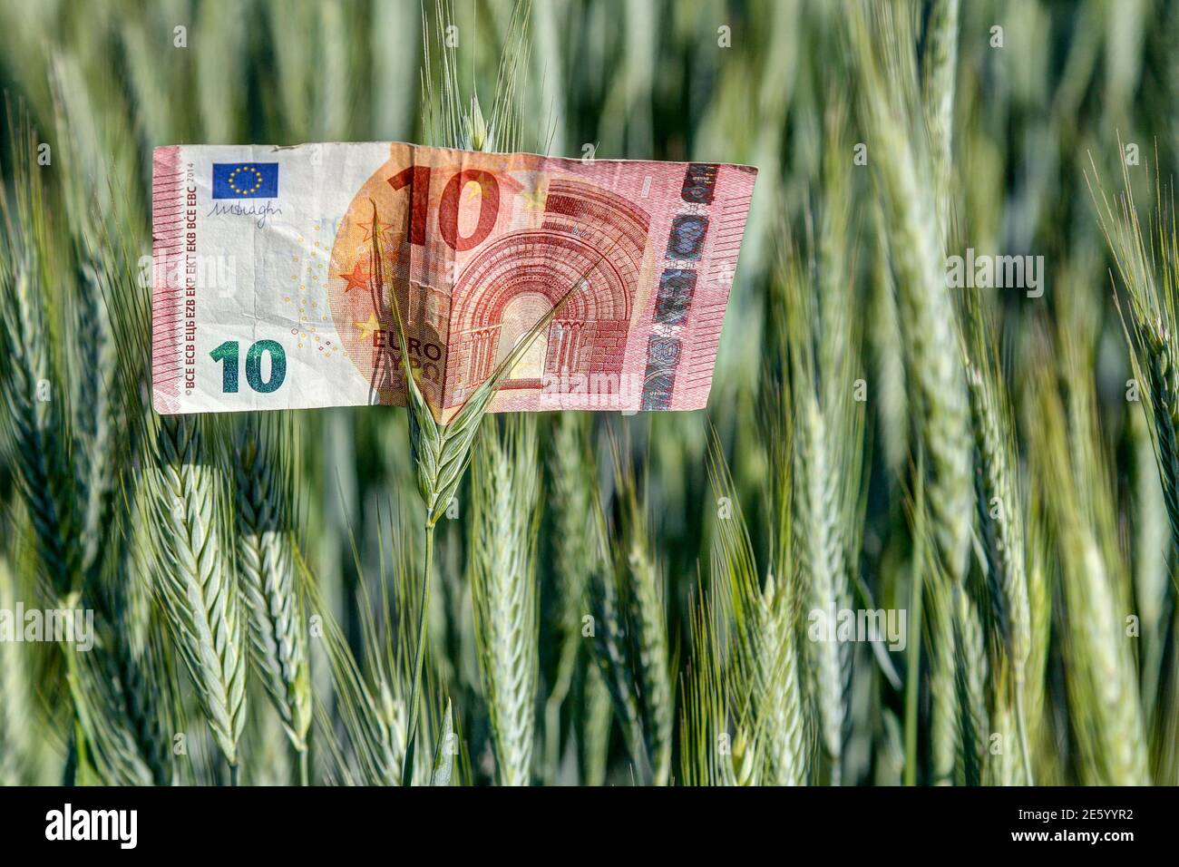 10 euro note hi-res stock photography and images - Alamy